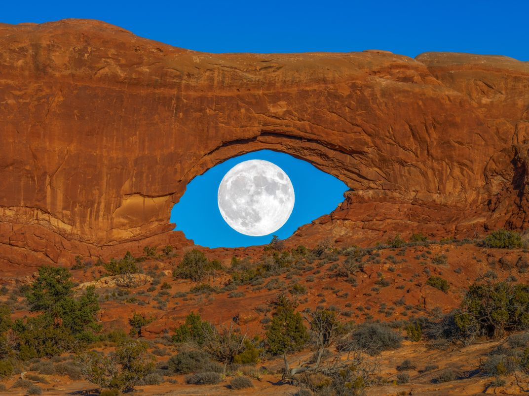 Desert Eye | Smithsonian Photo Contest | Smithsonian Magazine