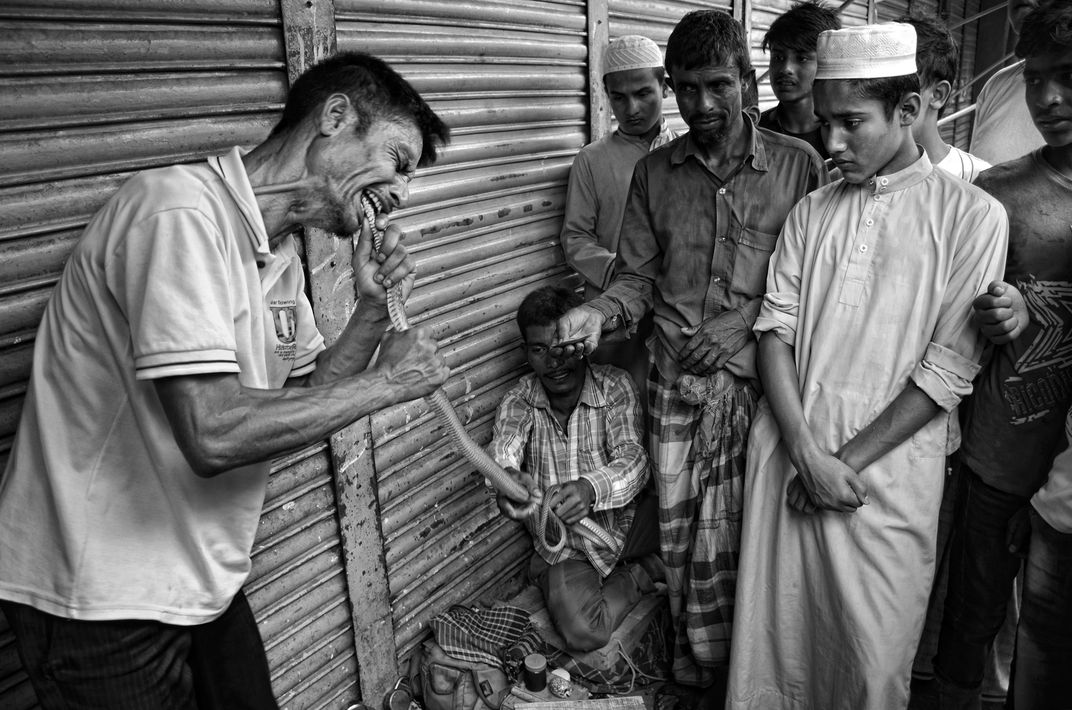 Snakes and livelihoods | Smithsonian Photo Contest | Smithsonian Magazine