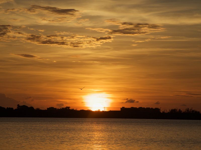 Sarasota Sunset | Smithsonian Photo Contest | Smithsonian Magazine