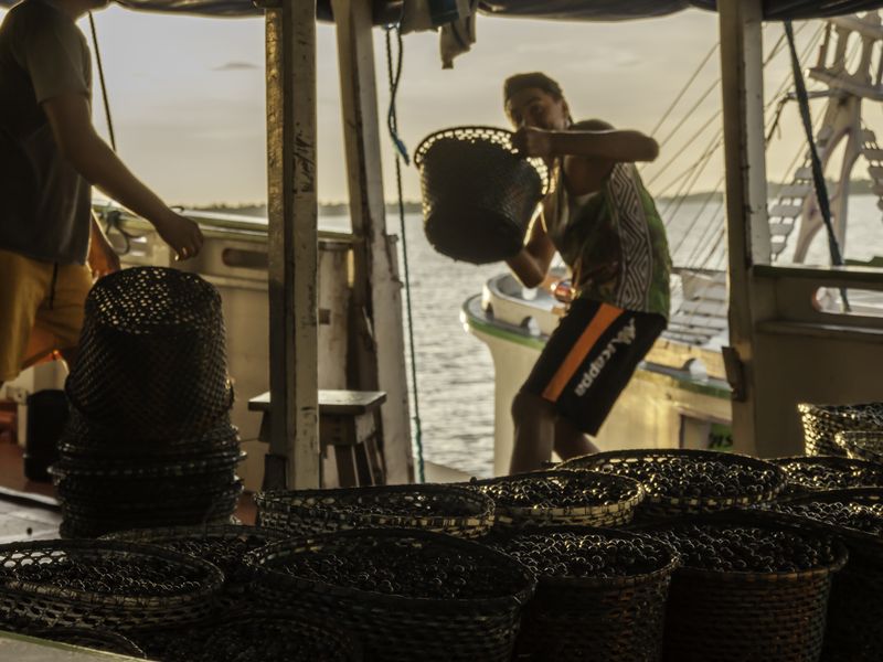 Escambo | Smithsonian Photo Contest | Smithsonian Magazine