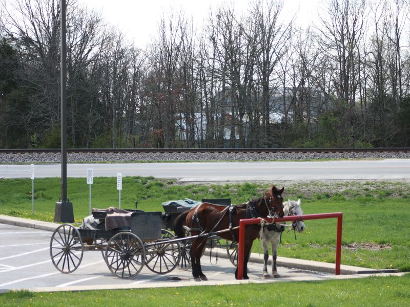Amish Transportation | Smithsonian Photo Contest | Smithsonian Magazine