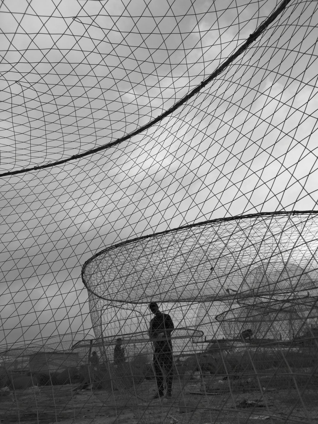 Weaving the Web of life | Smithsonian Photo Contest | Smithsonian Magazine