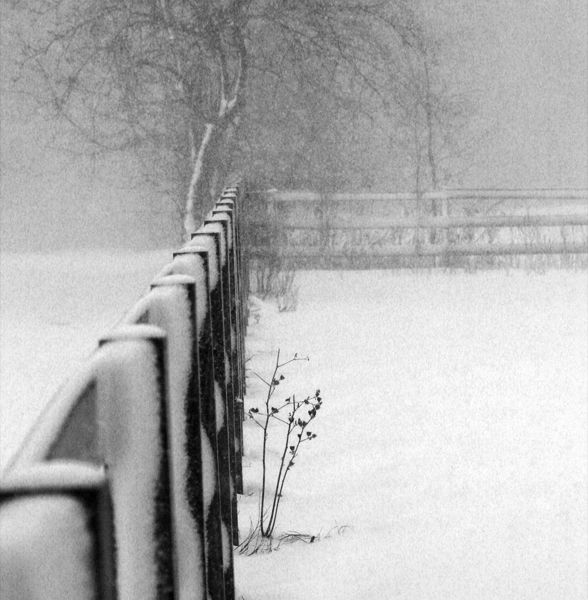 A snowy winter day in Ohio. | Smithsonian Photo Contest | Smithsonian ...
