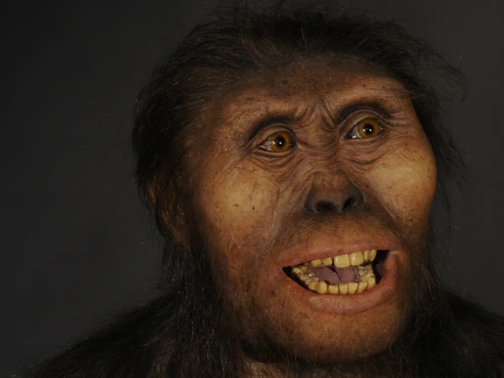 australopithecus reconstruction