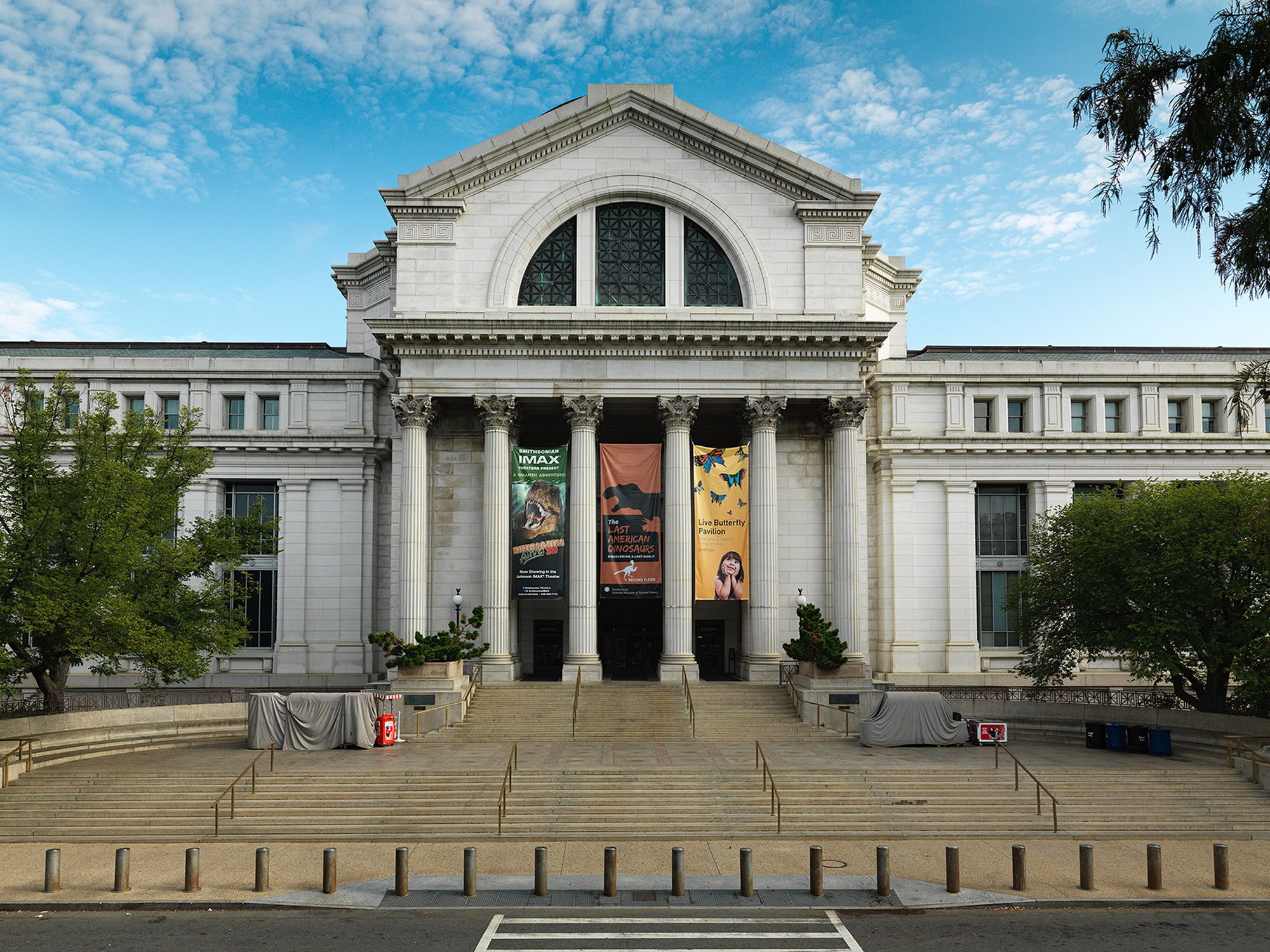 What Comes Next for the Smithsonian's New Human Remains Task Force ...
