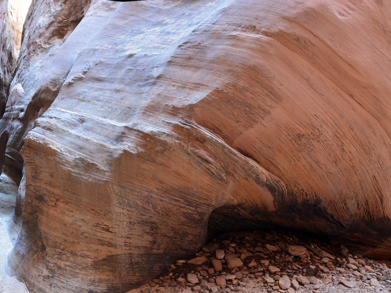 Burro Wash Slot Canyon, Capitol Reef | Smithsonian Photo Contest ...