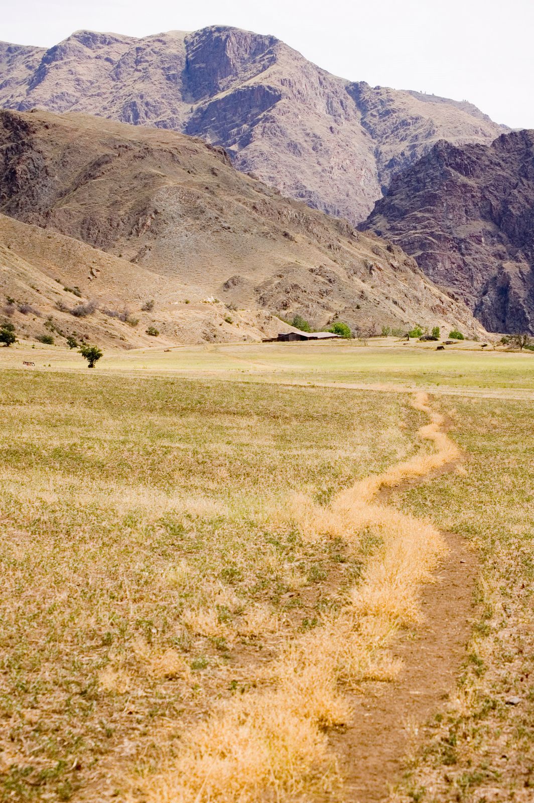 Hell's Canyon still holds ancient ruts made by the wheels of pioneer ...
