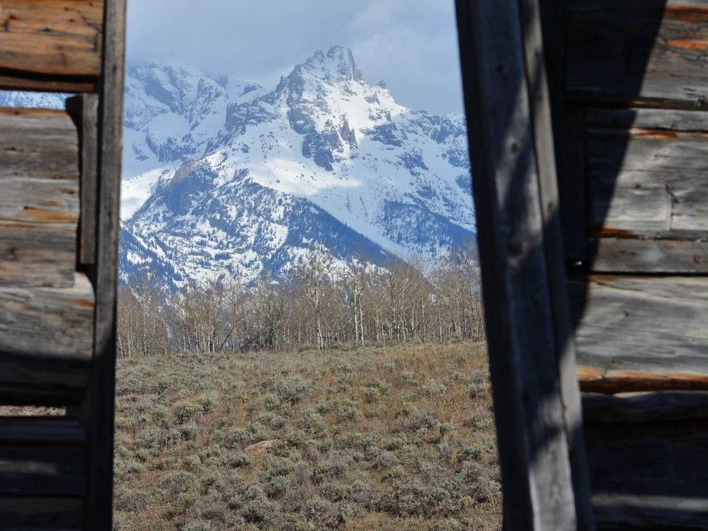 Old Shane Cabin | Smithsonian Photo Contest | Smithsonian Magazine