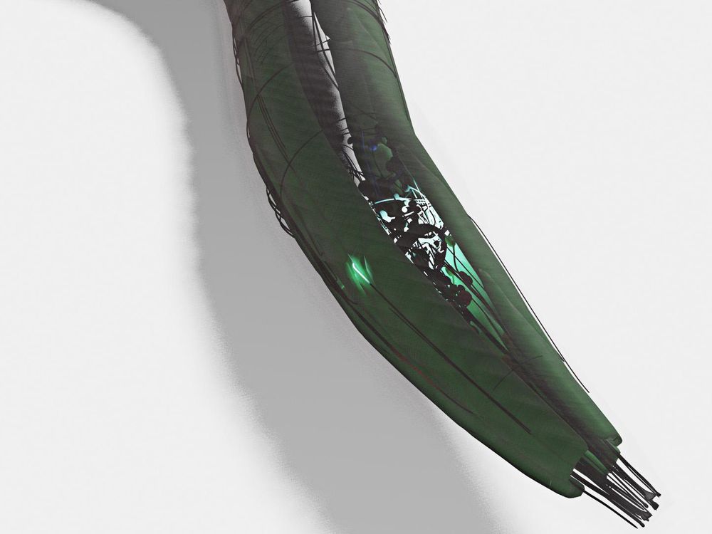 How to Create a Virtual Organism