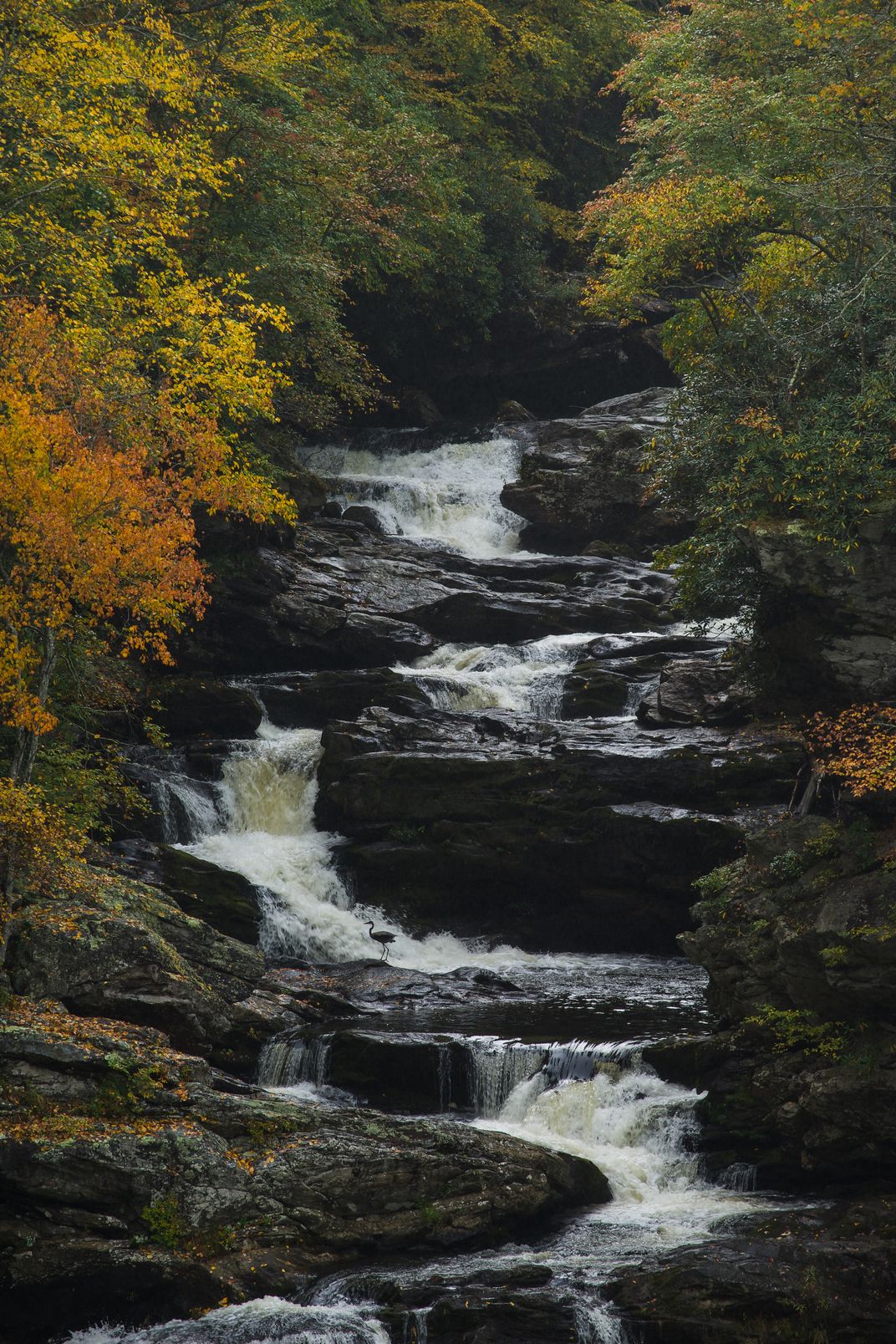 Autumn story | Smithsonian Photo Contest | Smithsonian Magazine