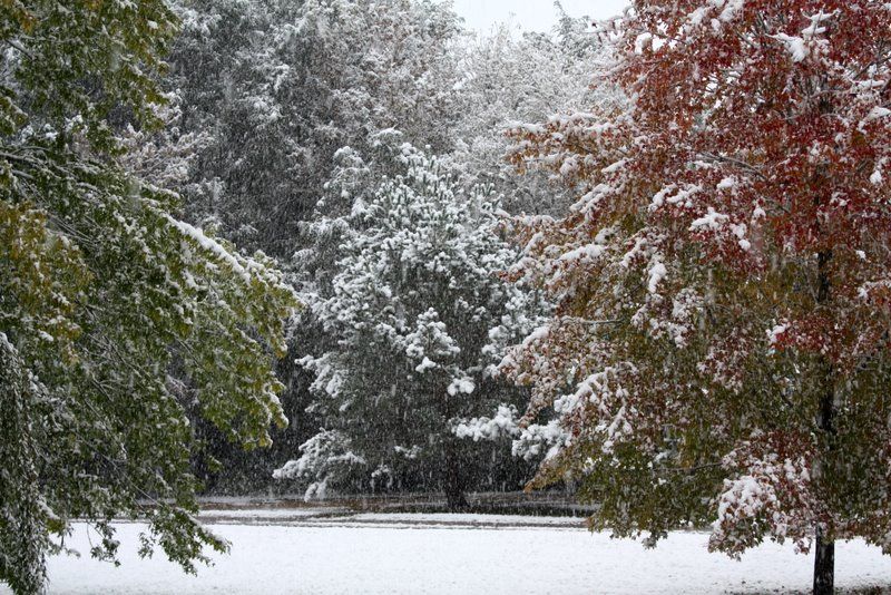 Snowing in the fall | Smithsonian Photo Contest | Smithsonian Magazine
