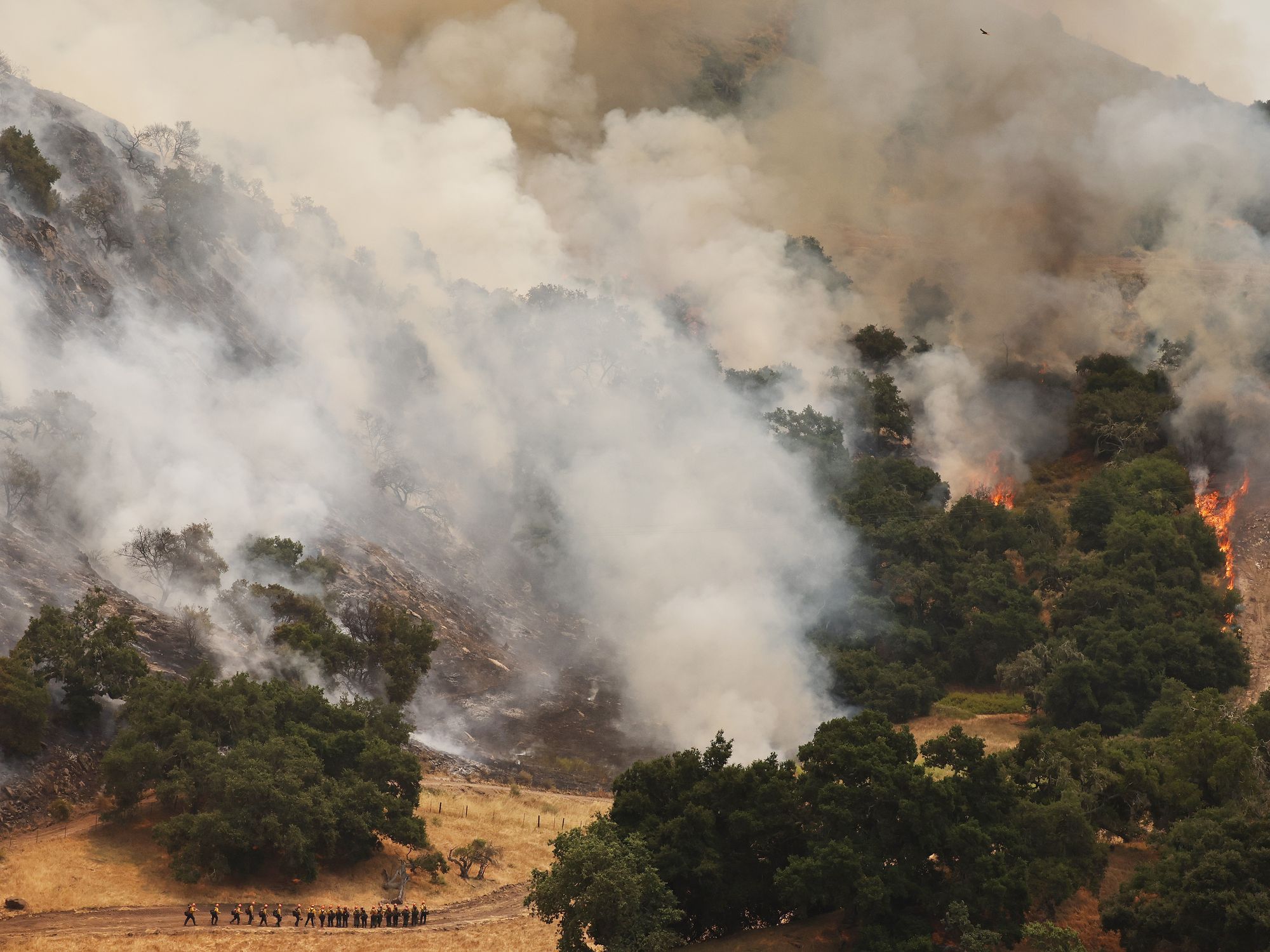 California Faces a Brutal Wildfire Season, With More Land Burned to ...