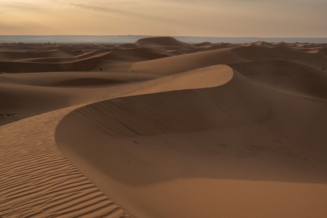 A sand dune in the Sahara Desert with exquisite movement. | Smithsonian ...