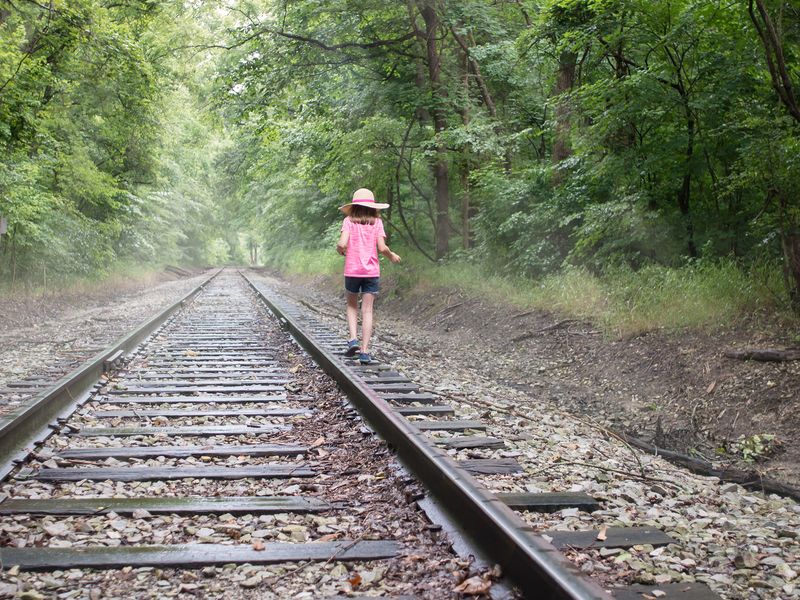 Exploring misty railroad tracks. | Smithsonian Photo Contest ...