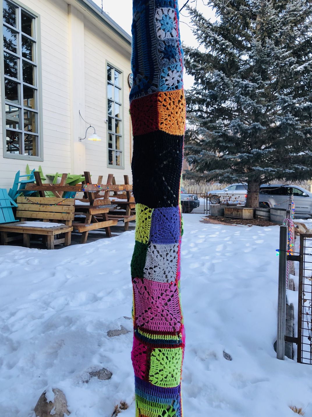 Crocheted tree trunk | Smithsonian Photo Contest | Smithsonian Magazine