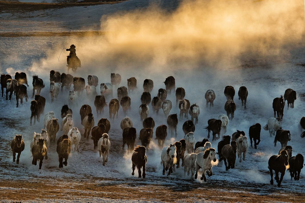Galloped | Smithsonian Photo Contest | Smithsonian Magazine