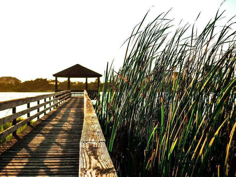 Sunset Breeze | Smithsonian Photo Contest | Smithsonian Magazine