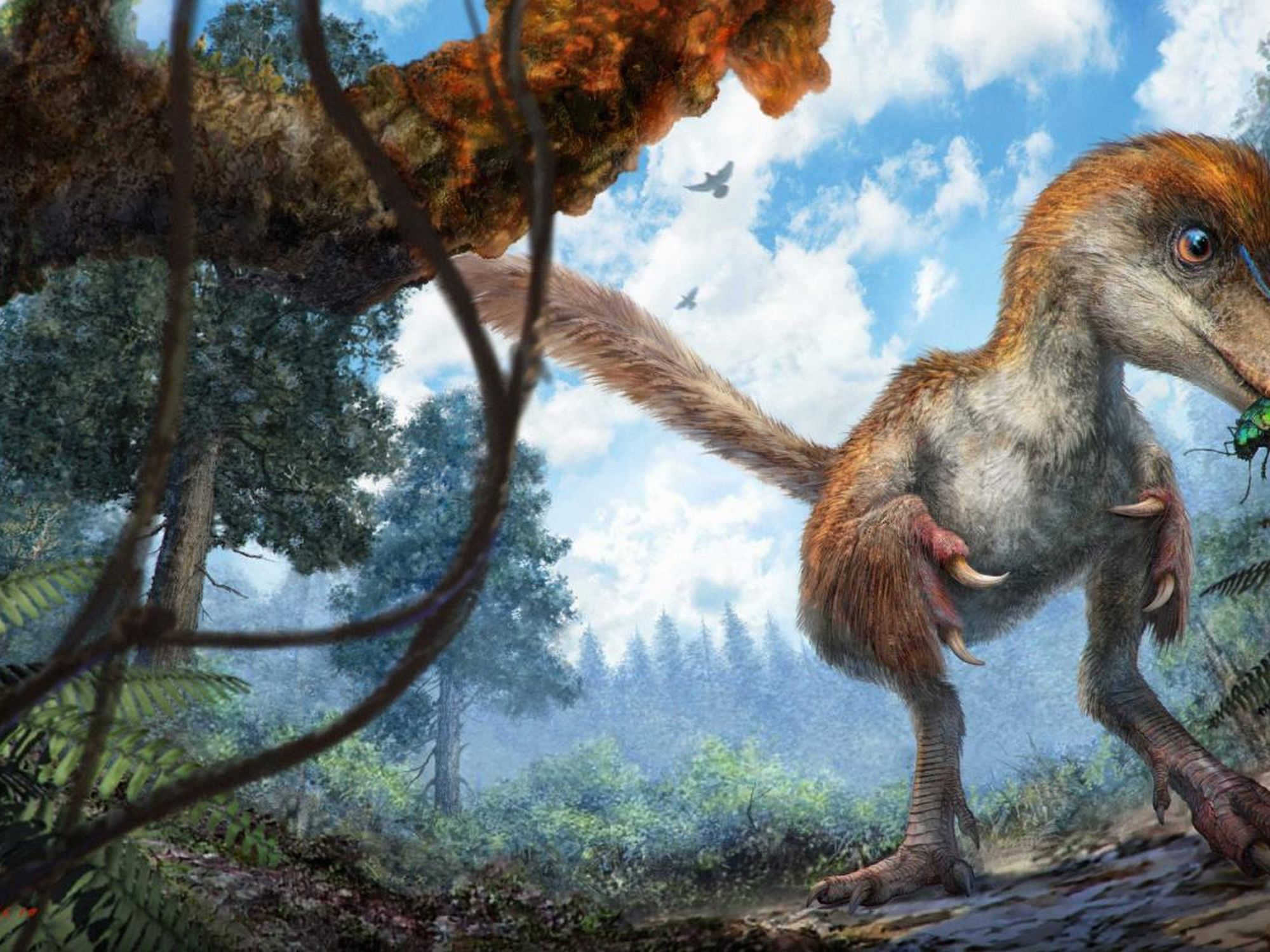 A Feathered Dinosaur From 99 Million Years Ago
