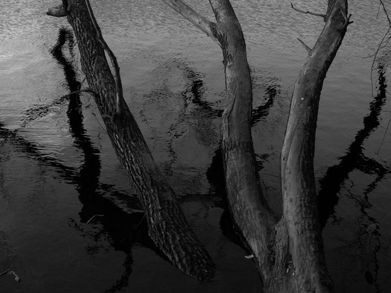 Shadows on the water | Smithsonian Photo Contest | Smithsonian Magazine