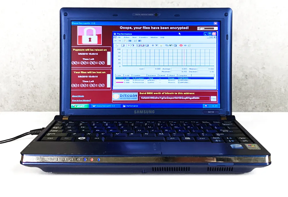 real computer viruses