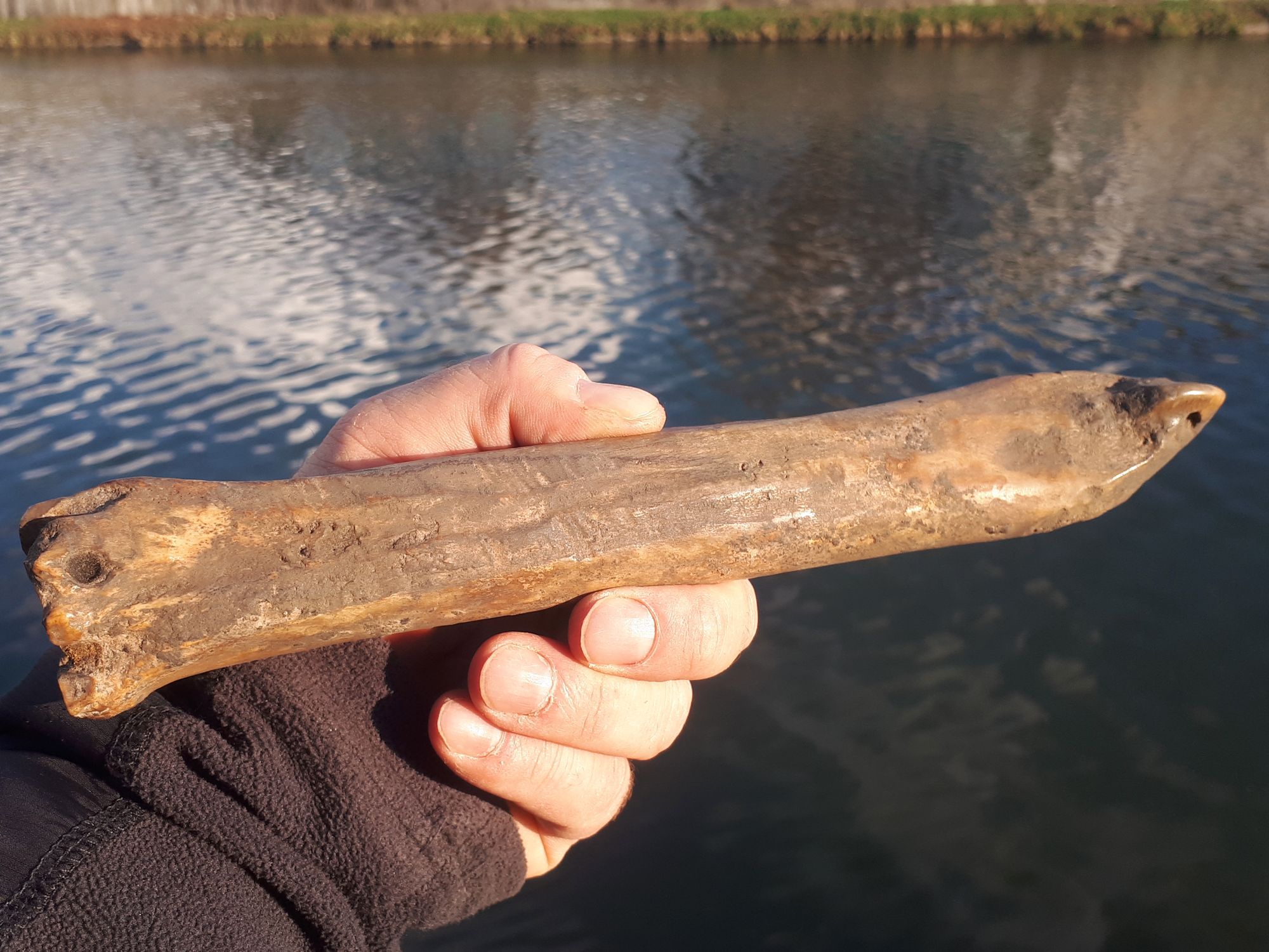 Archaeologists Unearth 1,000-Year-Old Ice Skate Made of Animal Bone in ...