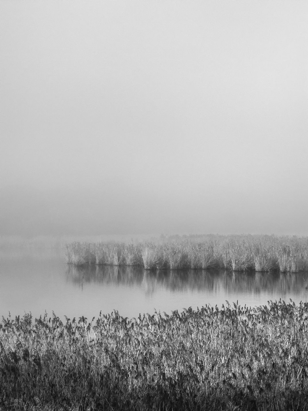 Mist over the Lagoon | Smithsonian Photo Contest | Smithsonian Magazine