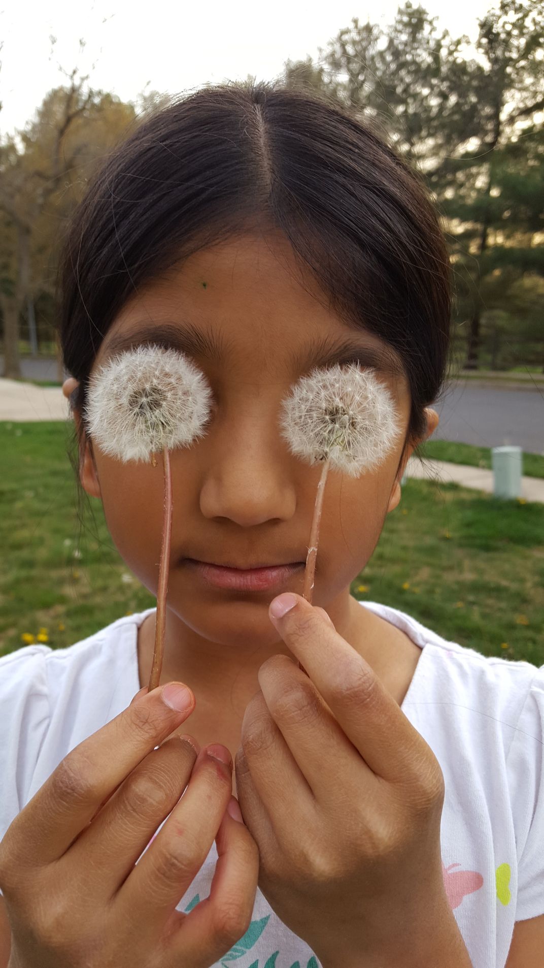 Dandelion eyes | Smithsonian Photo Contest | Smithsonian Magazine