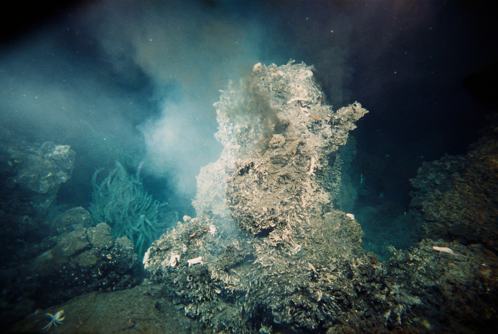 Visit the Pacific’s Deepest Hydrothermal Vents With Underwater Robots ...