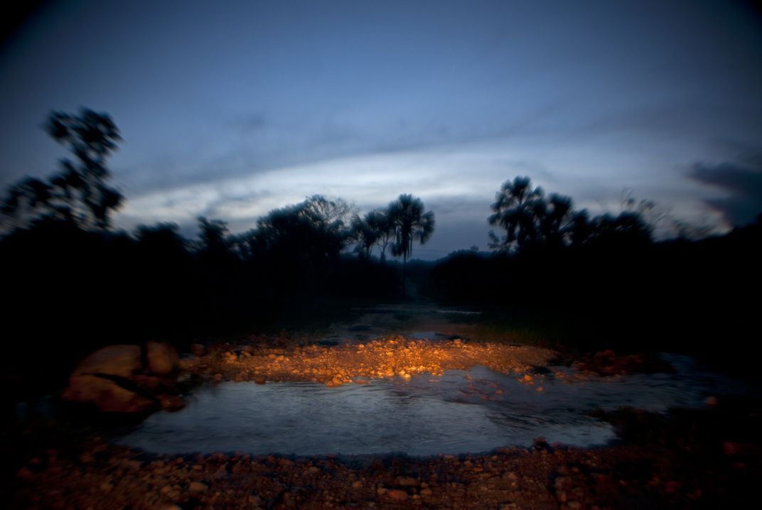 In brazilian savannah, small watercourses crosses the roads, where, in ...