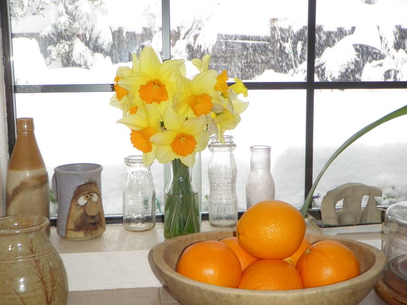 Winter Still Life | Smithsonian Photo Contest | Smithsonian Magazine