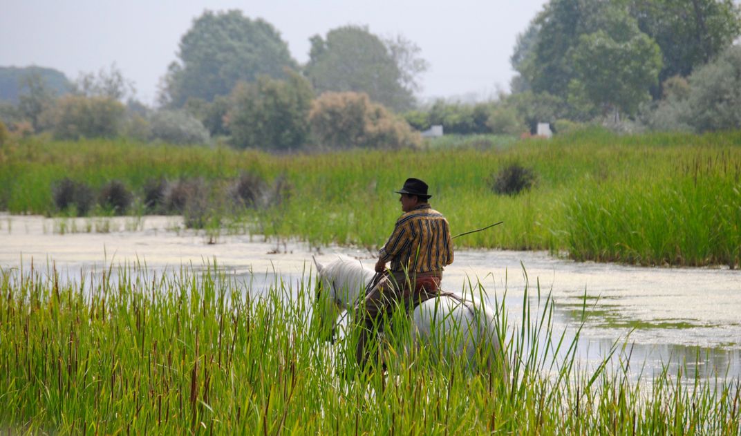 A French Cowboy and His Horse | Smithsonian Photo Contest | Smithsonian ...