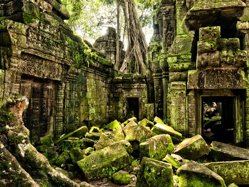 Ancient green | Smithsonian Photo Contest | Smithsonian Magazine