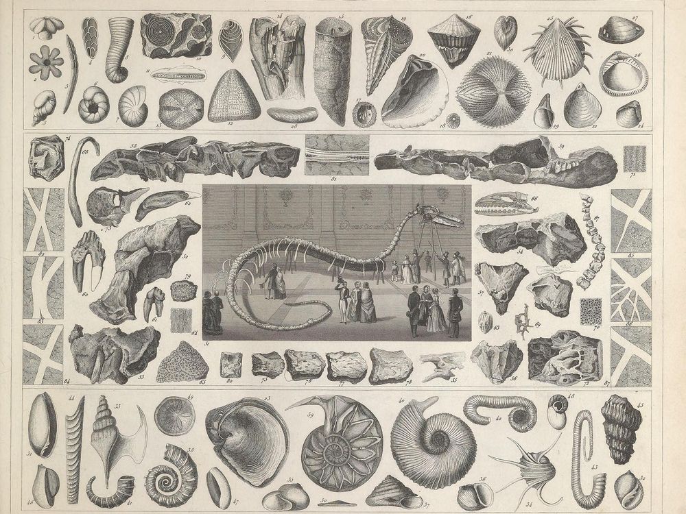 A 19th-Century Encyclopedia Gets a Modern Makeover | Smithsonian Voices ...