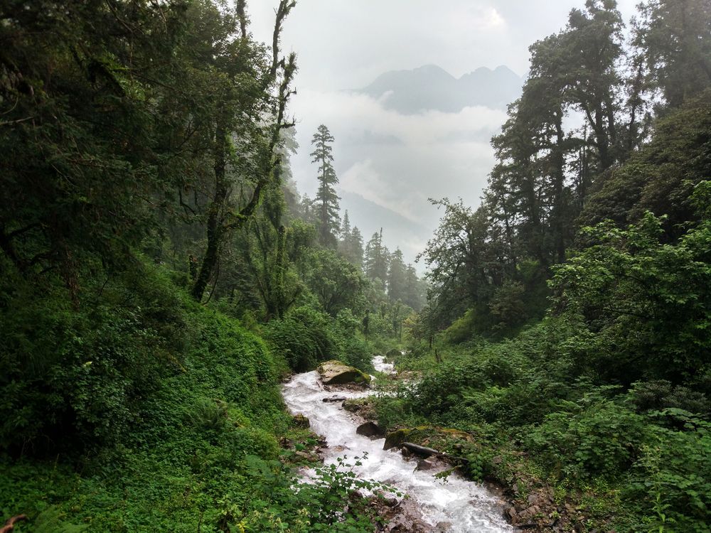 A stream flowing in the backdrop of Himalayan Mountains | Smithsonian ...