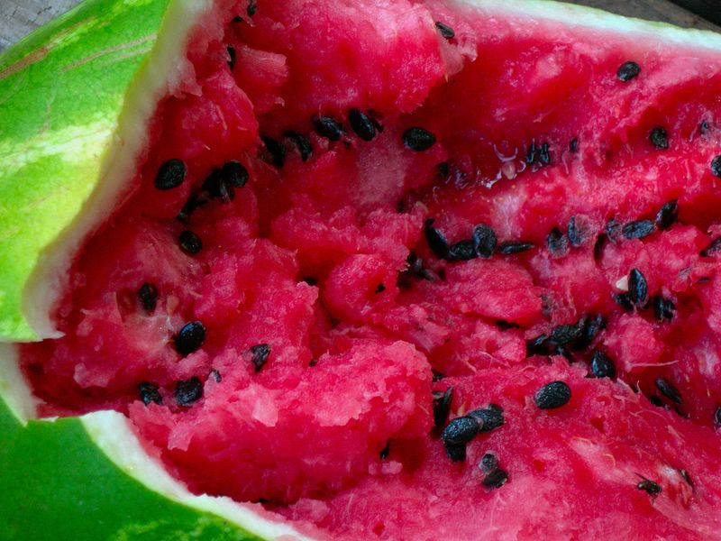 First watermelon of the summer | Smithsonian Photo Contest ...