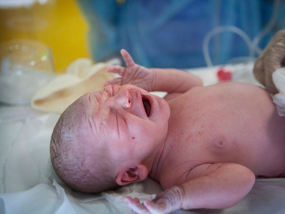 For the First Time Ever, a Woman With a Transplanted Uterus Gave Birth ...