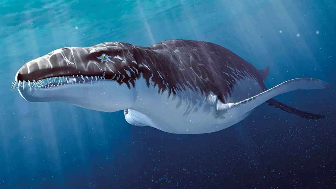 Strange Creatures On Earth