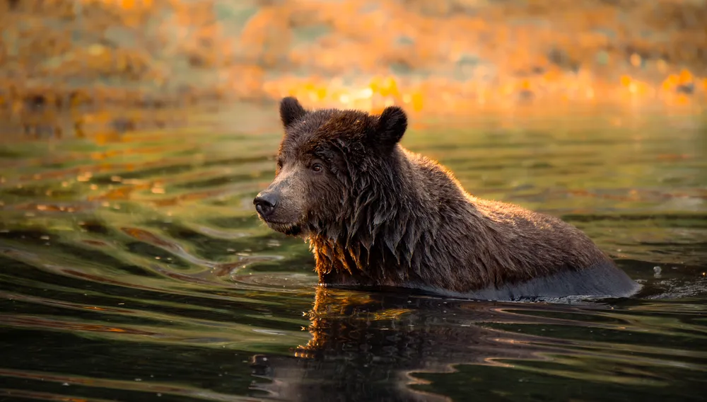 Smithsonian Magazine Daily Newsletter