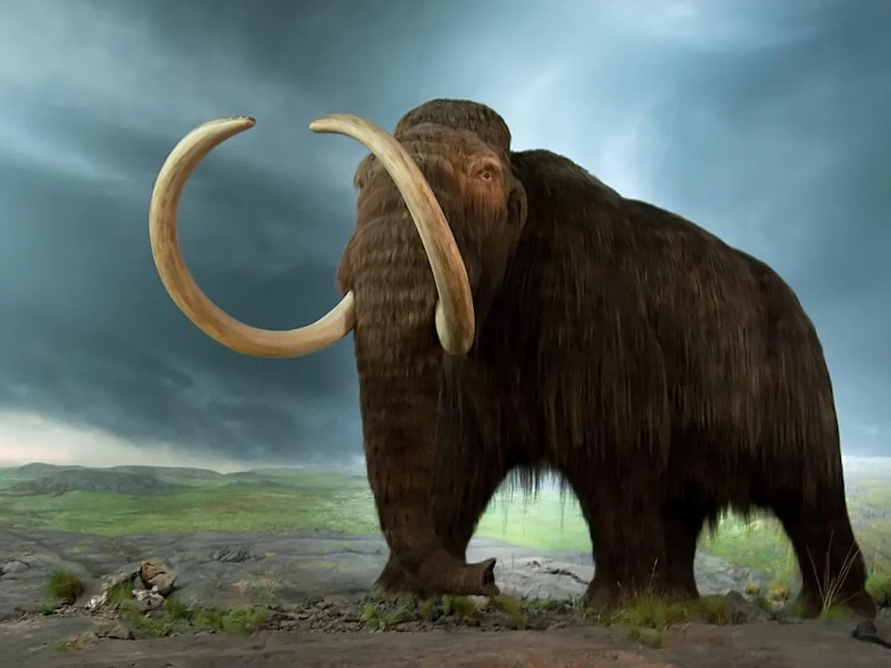 Extinct Animals In The Last 10 Years