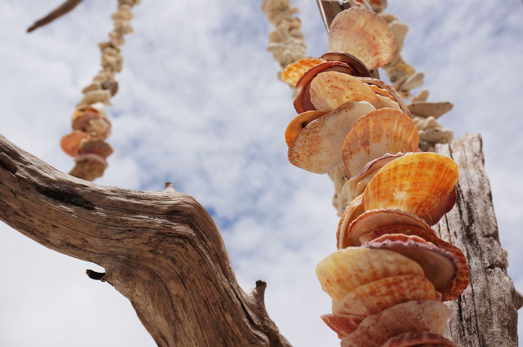 Shell stack | Smithsonian Photo Contest | Smithsonian Magazine