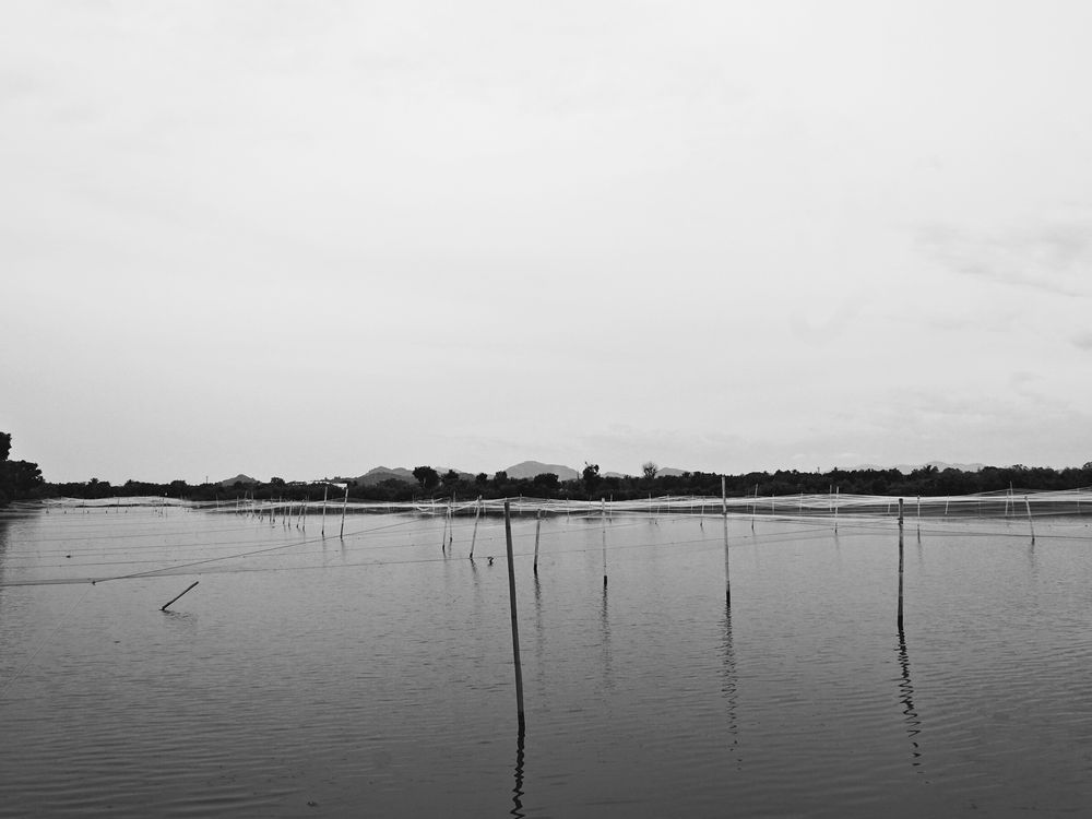 Fish Pond in Roxas City, Philippines | Smithsonian Photo Contest ...