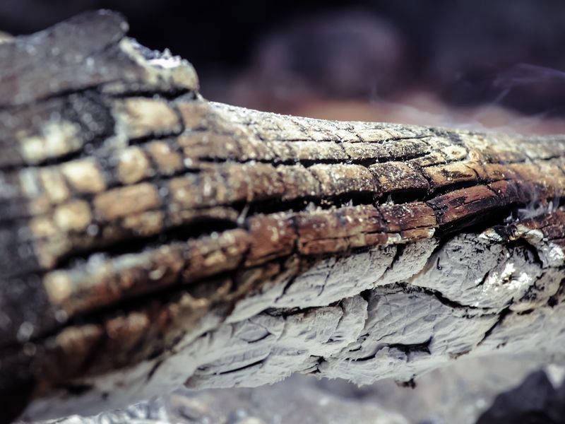 Log burned in stones bonfire | Smithsonian Photo Contest | Smithsonian ...