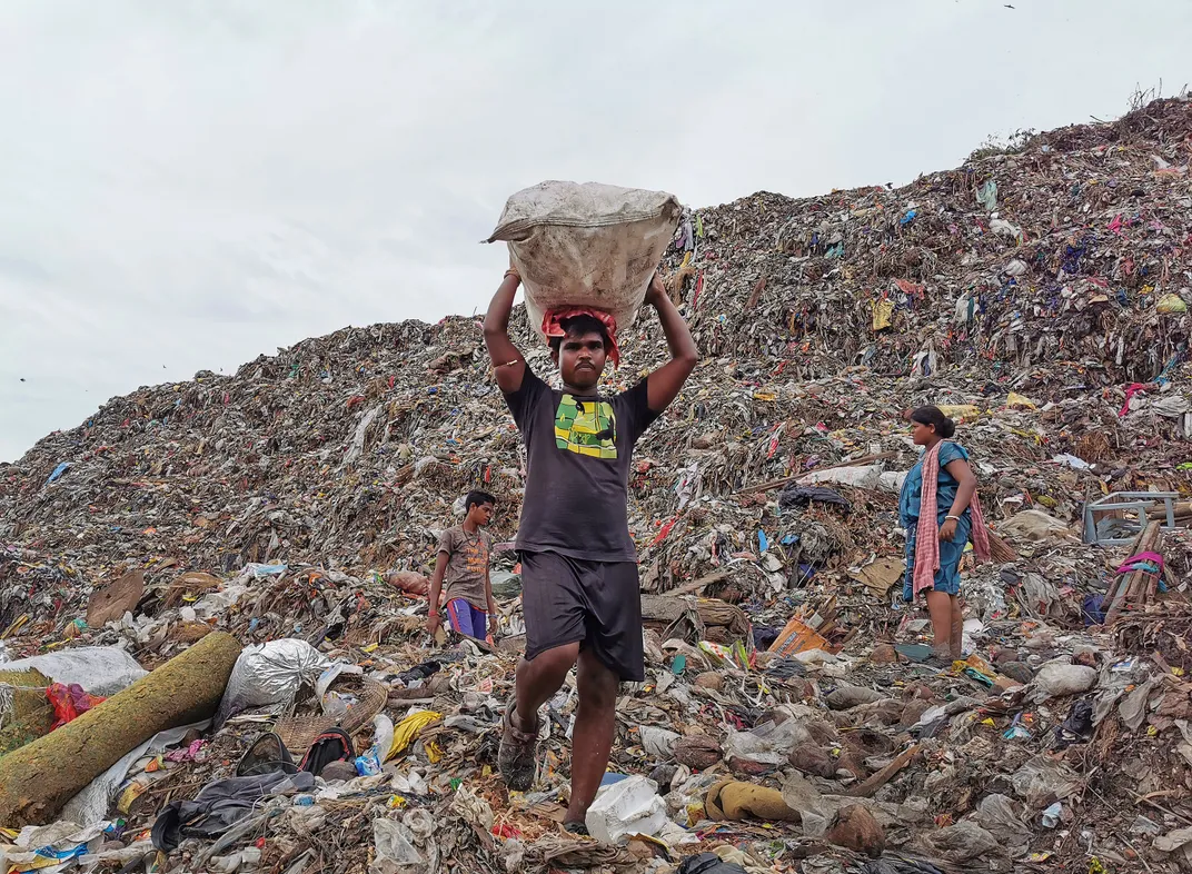Scavenger | Smithsonian Photo Contest | Smithsonian Magazine