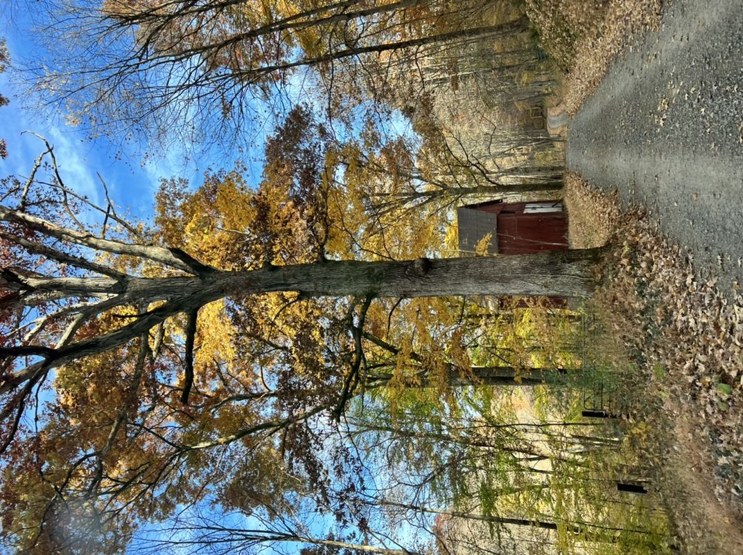 Driving on the backroads in Greene County | Smithsonian Photo Contest ...