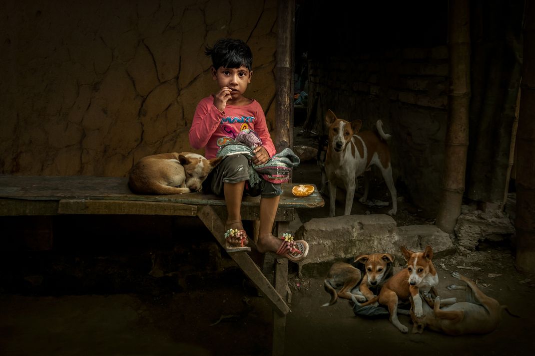 home alone | Smithsonian Photo Contest | Smithsonian Magazine