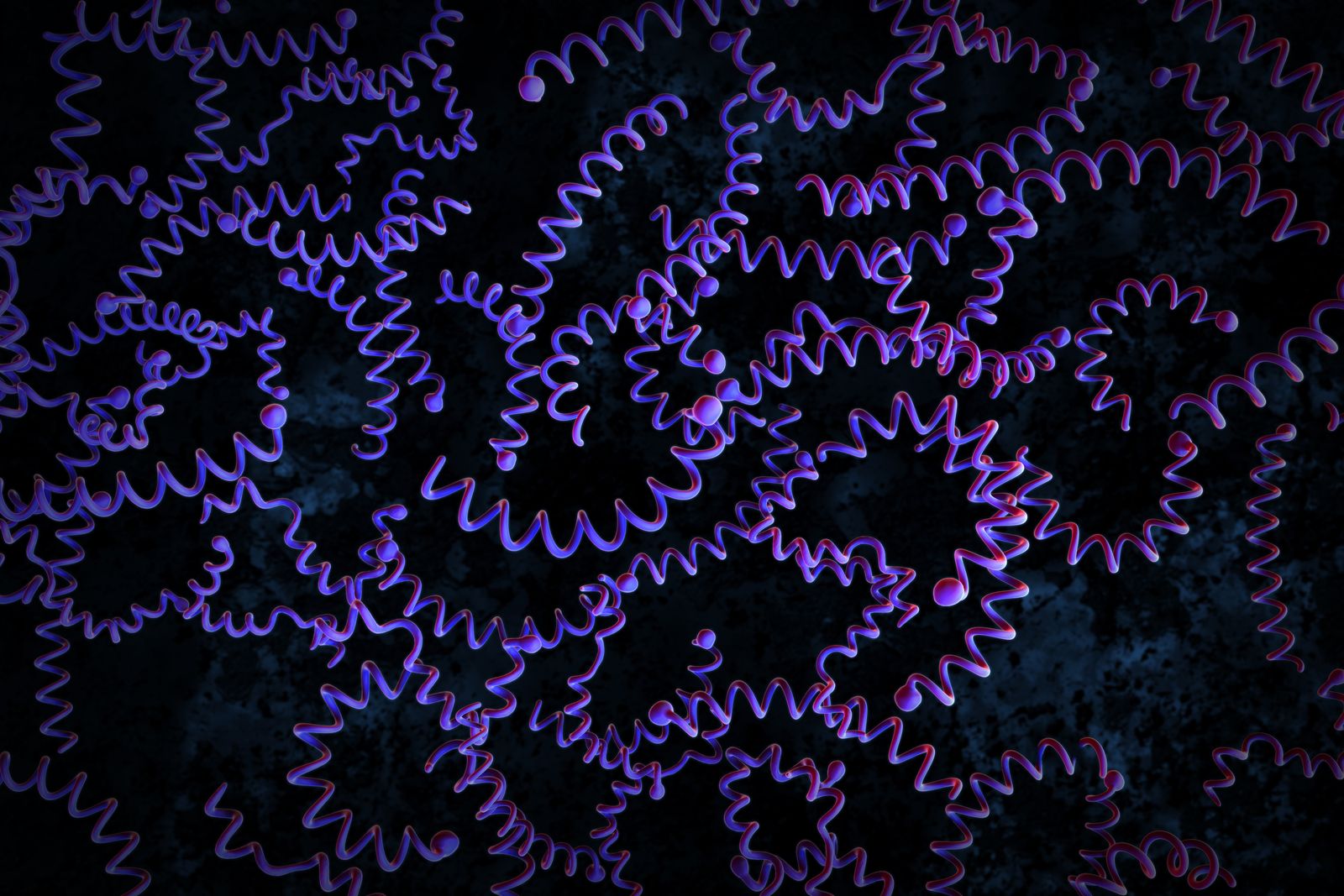 Anthropologists Recover DNA of Syphilis-Causing Bacterium Relative From ...