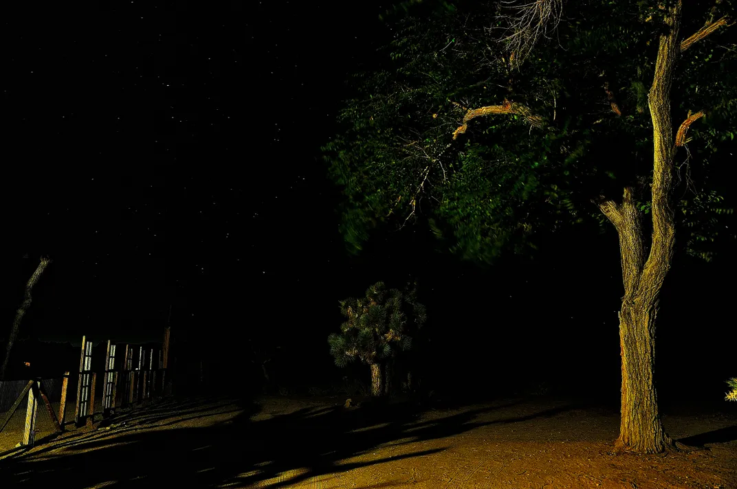 Joshua Tree nightscape, a long time exposure showing the beauty and ...