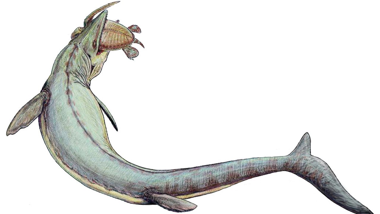 Mosasaur Vs T Rex Fallen Kingdom: The Film Before The Film – Vfxblog