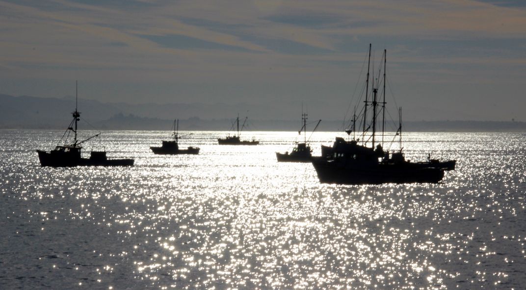 Avila Bay in Central California Coast. | Smithsonian Photo Contest ...