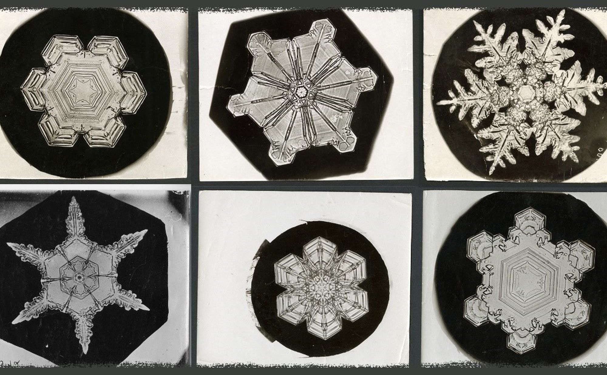 Why Scientists Find Snowflakes Cool | Smithsonian Voices | National ...